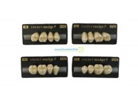 Bredent - Zähne (novo.lign/neo.lign) | Dentalstoff Onlineshop - Der ...