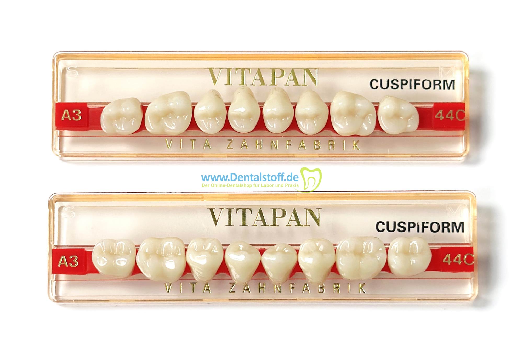 VITA VITAPAN CUSPIFORM POSTERIOR Seitenzähne | Dentalstoff Onlineshop ...