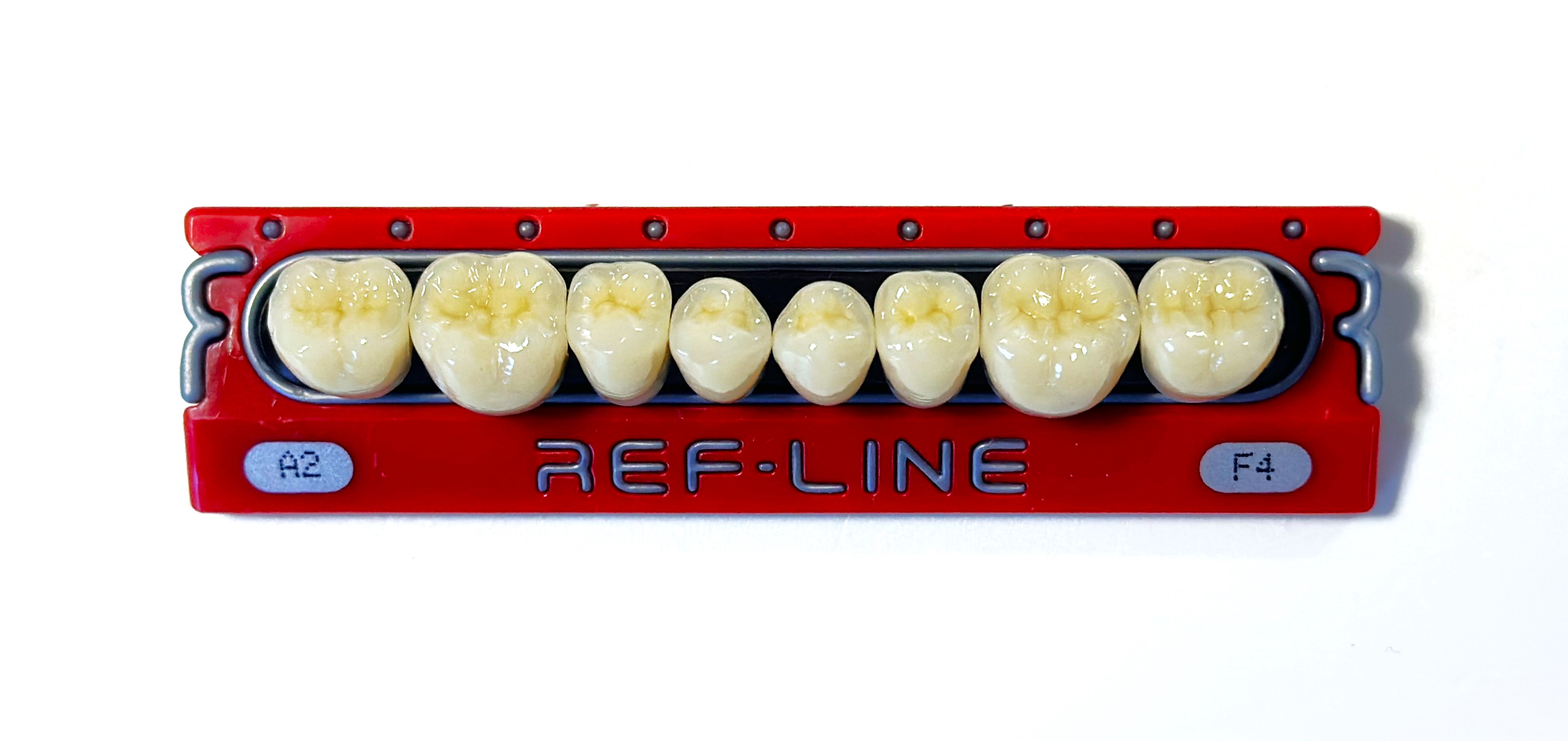 Polident REF Line Seitenzähne | Dentalstoff.de - Der Onlineshop für ...