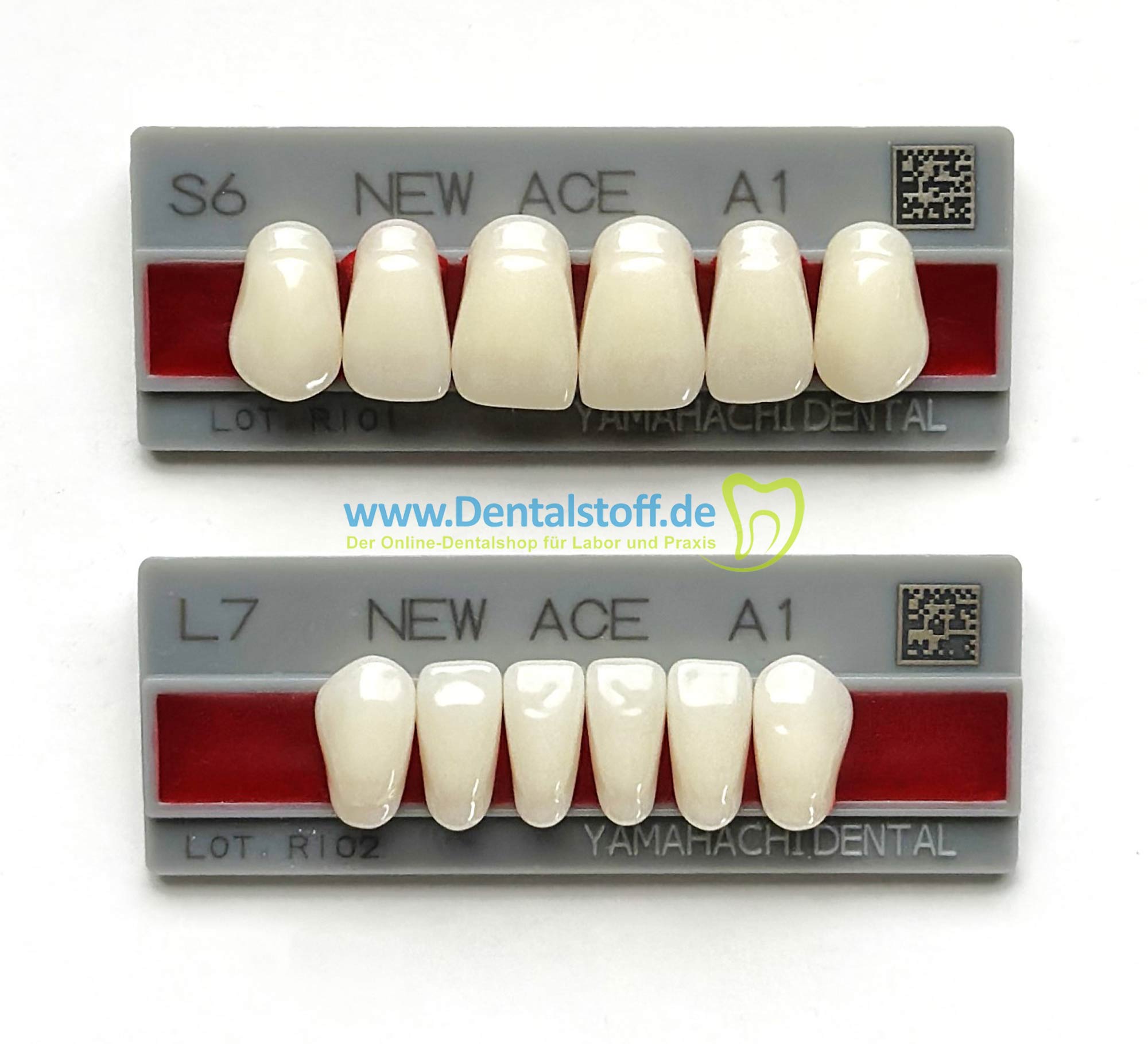 New Ace AC Kunststoff Frontzähne Oberkiefer | Dentalstoff Onlineshop ...
